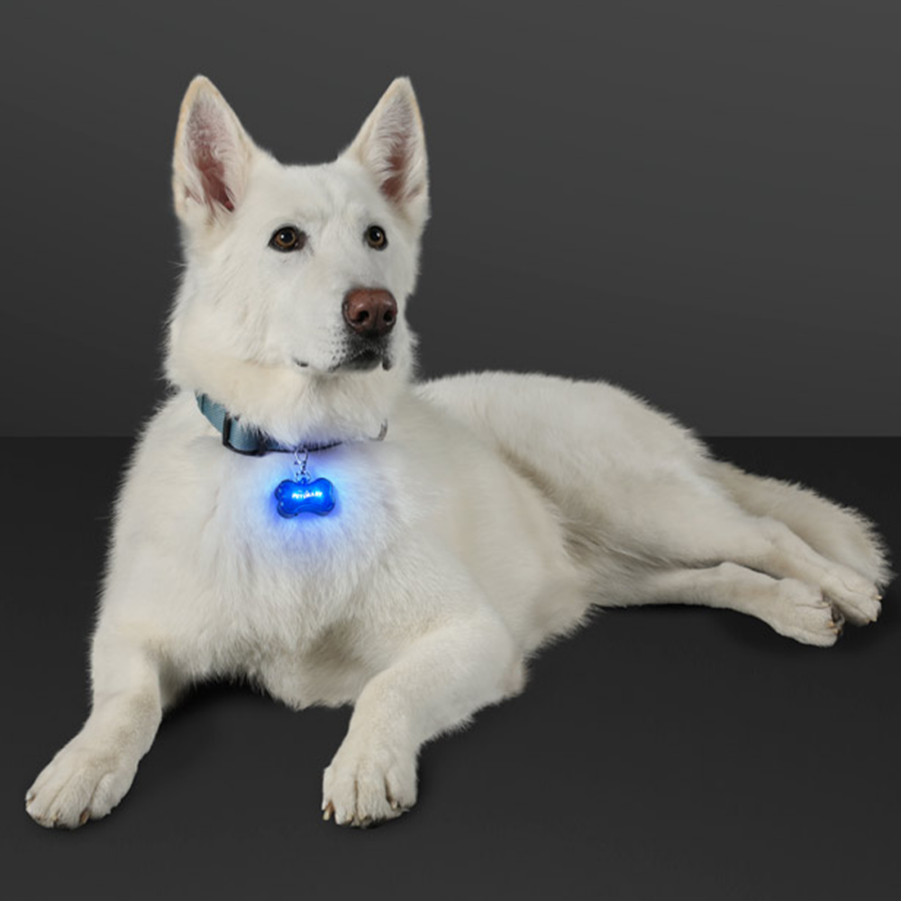 Dog Bone Safety Light