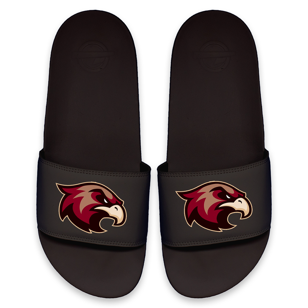 ISlide Motto Slides - Show Your Logo